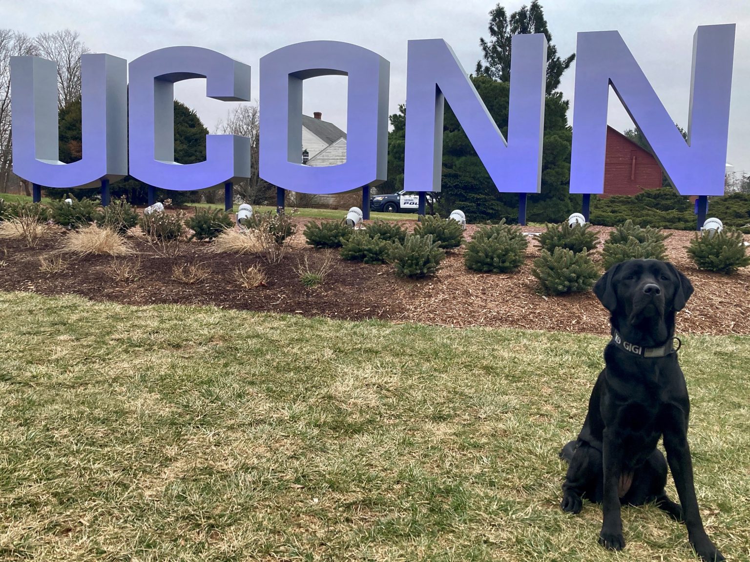 Patrol | Police Department